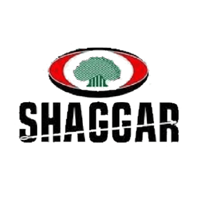 Sheger City - Wikiwand