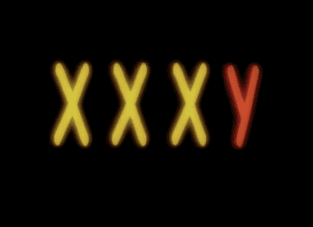 XXXY (film) - Wikiwand