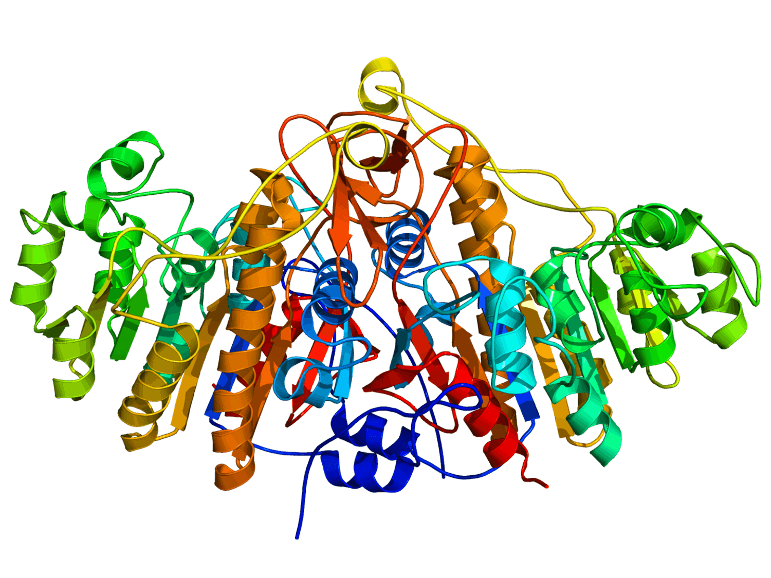 Alkaline phosphatase - Wikiwand