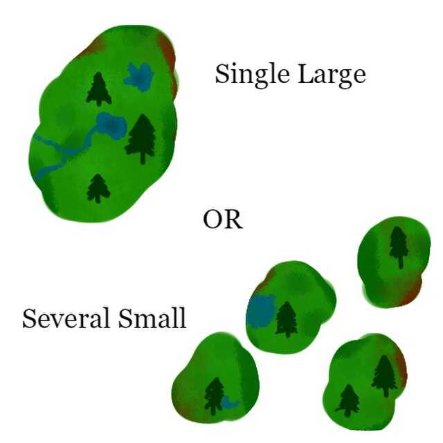 SLOSS debate - Wikiwand