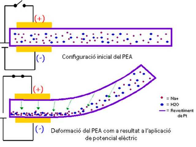 Polímero electroactivo - Wikiwand
