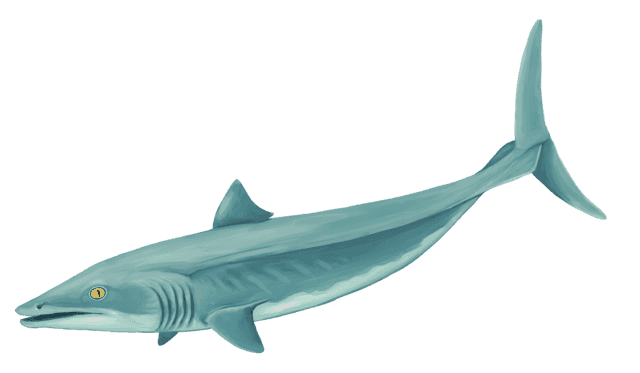 Romerodus - Wikiwand