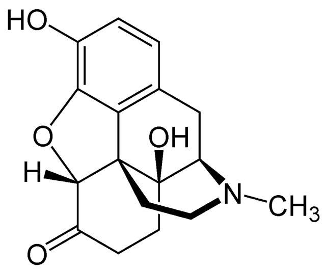 Oxymorphone - Wikiwand