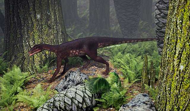 Sacisaurus - Wikiwand