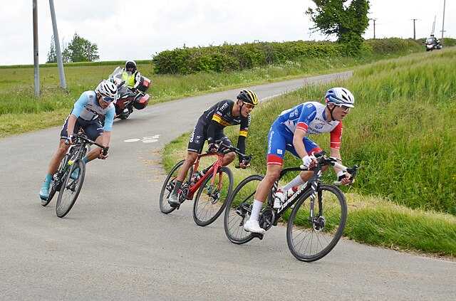 Enzo Paleni - Wikiwand