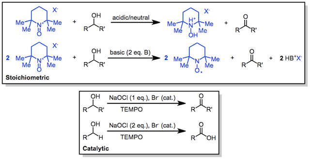 Oxoammonium-catalyzed oxidation - Wikiwand